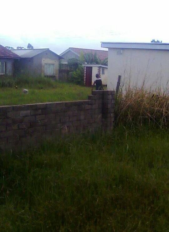 Mainway Meadows stand with cottage – ShonaHome