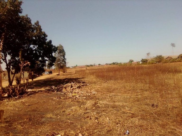 Stand In Knowe Norton for sale – ShonaHome