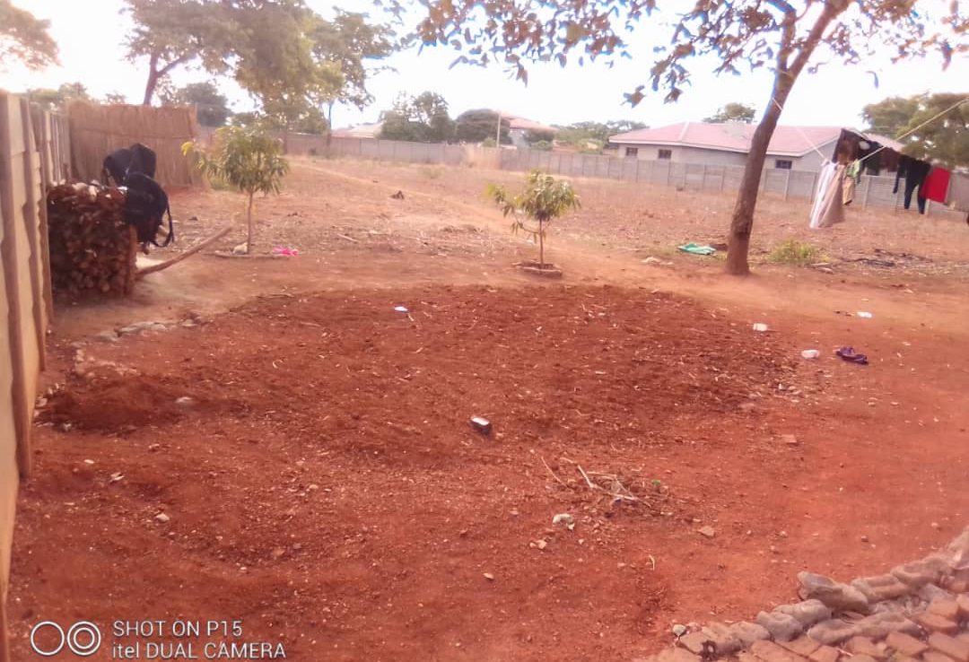 NORTON KNOWE PHASE 2 - ShonaHome