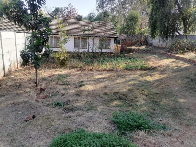 RUWA TIMIRE PARK STAND - ShonaHome